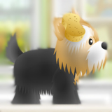 Pet-grooming Studio - Play Pet-grooming Studio at UGameZone.com